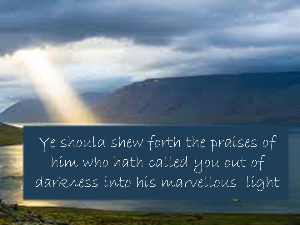 Into His Marvelous Light – Special Space